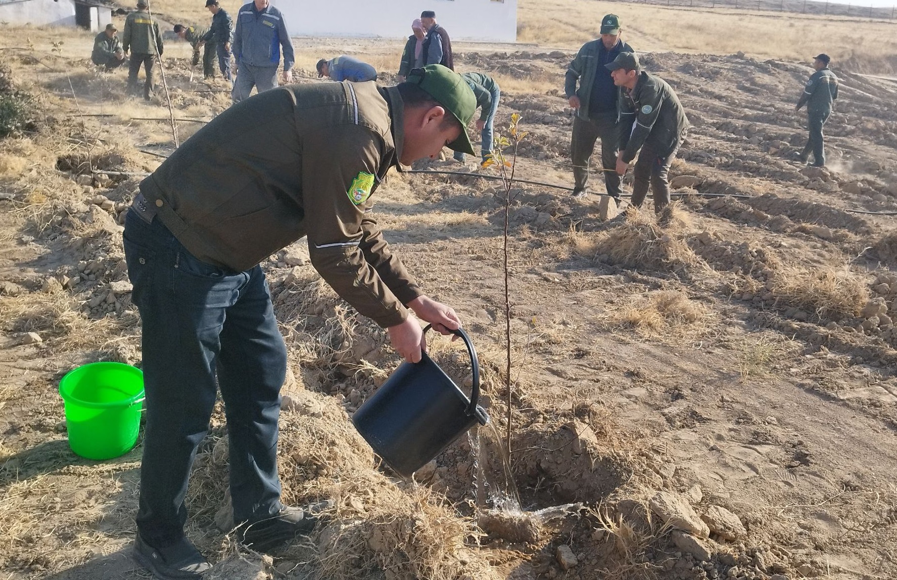 "Yashil makon" loyihasi: Zarmitan dala ekspeditsiyasi yerlari mevali ...